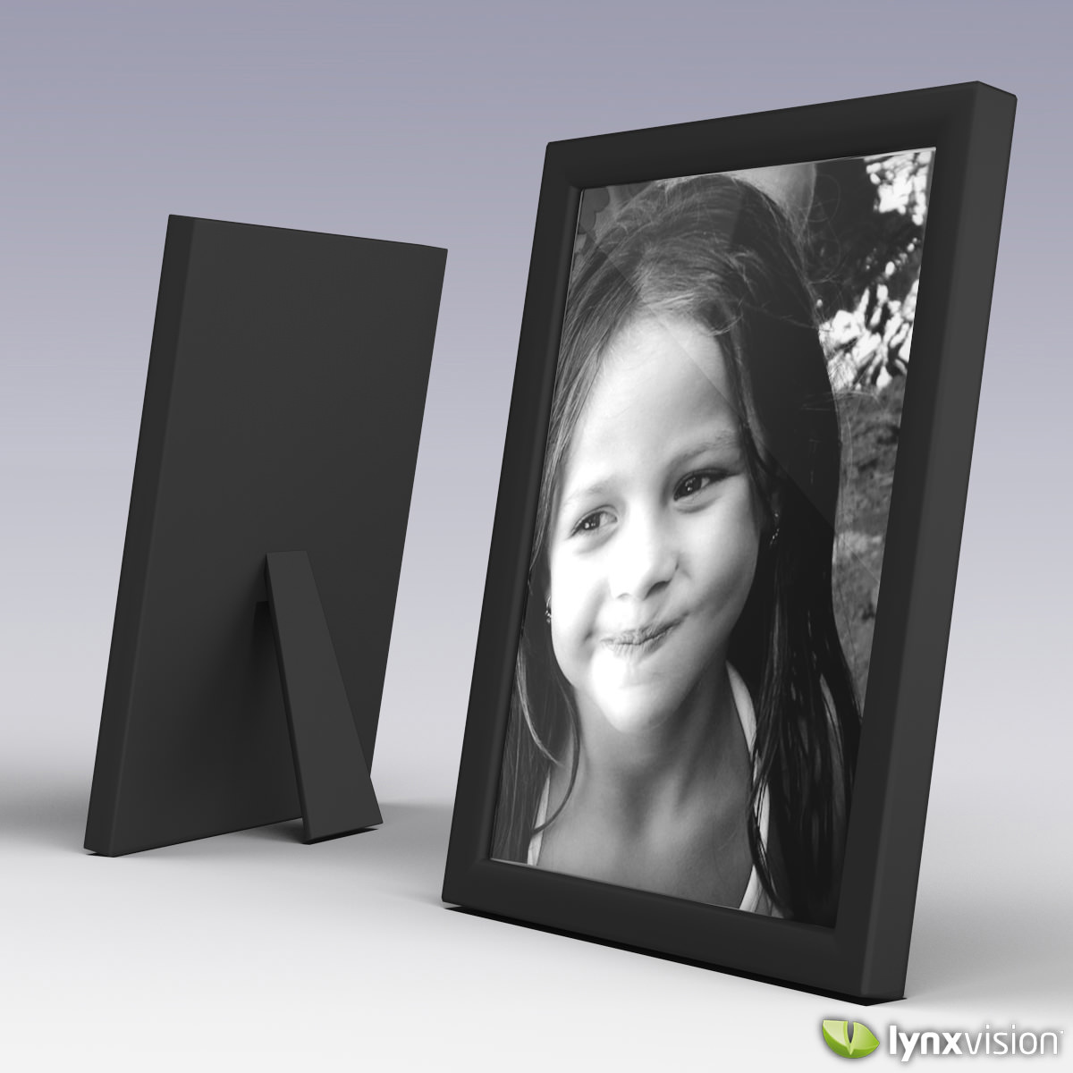 Metallic Photo Frames 3D model | CGTrader