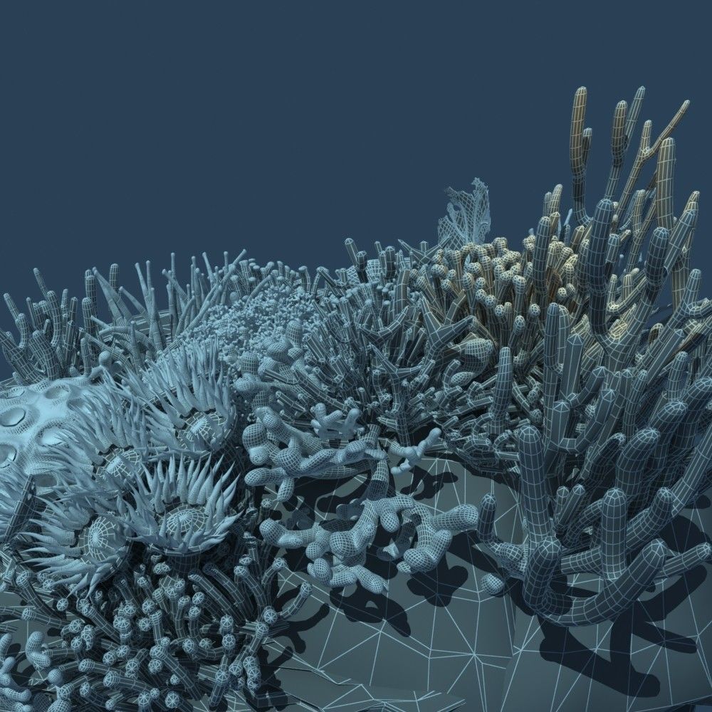 Coral reef 3D model | CGTrader