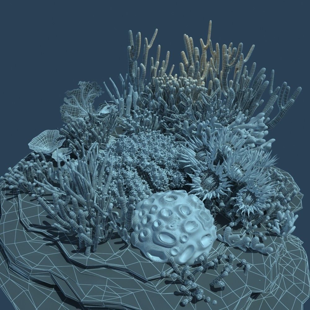 Coral reef 3D model | CGTrader