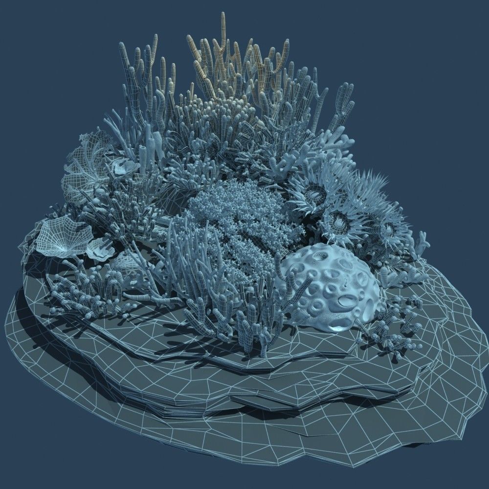 Coral reef 3D model | CGTrader