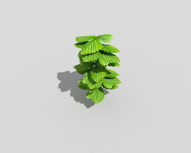 3D model Plant leaf VR / AR / low-poly | CGTrader
