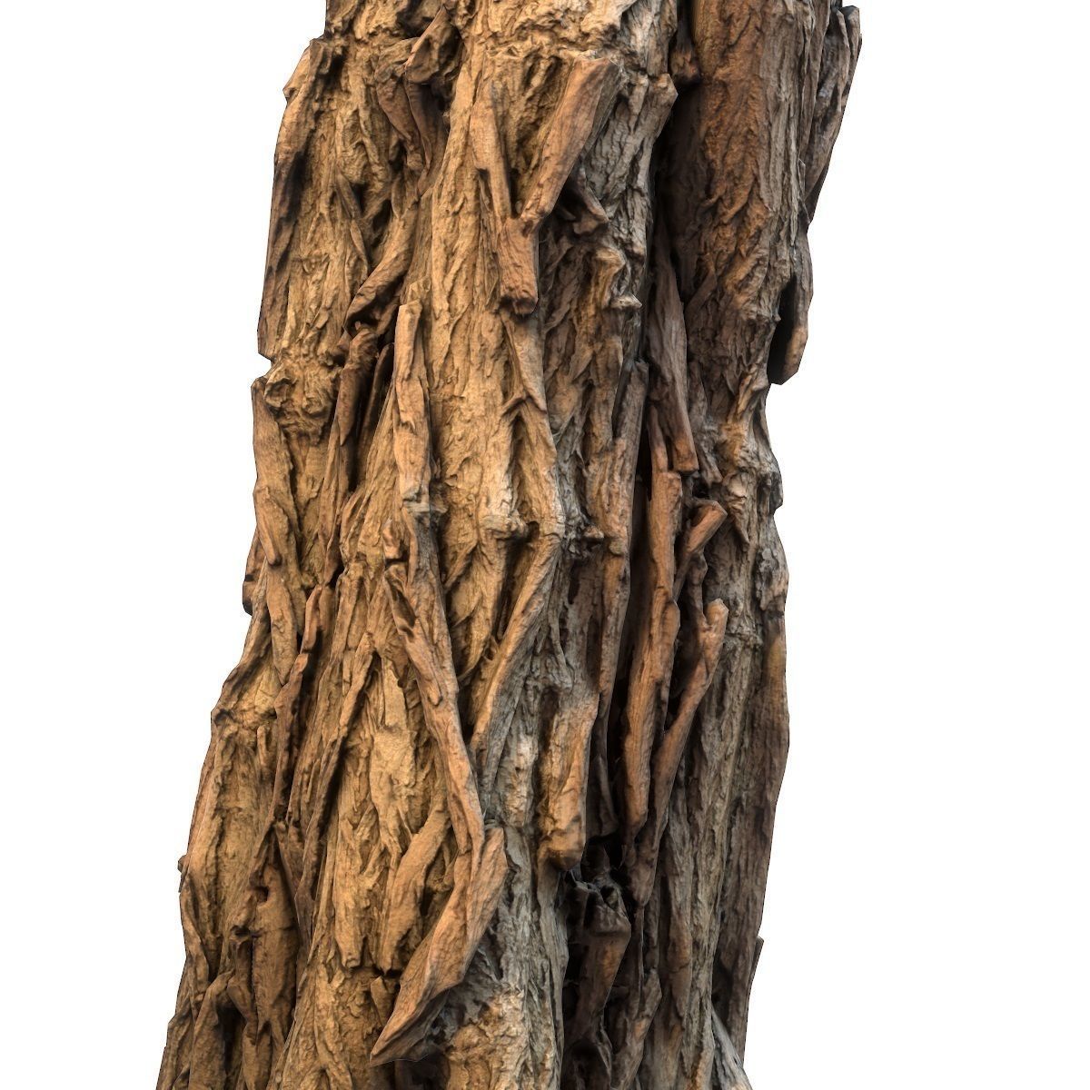 Realistic Detailed Tree Bark 3D model | CGTrader