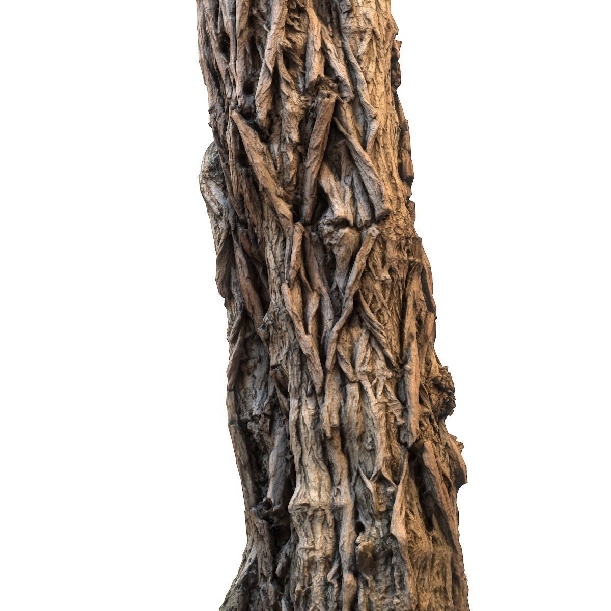 Realistic Detailed Tree Bark 3D model | CGTrader