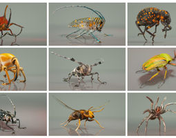 Insect 3D Models | CGTrader