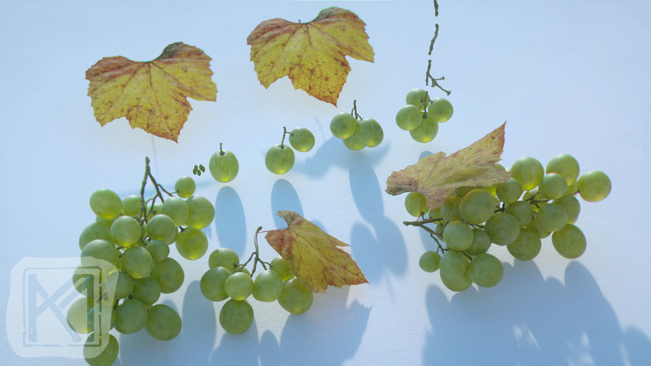 3D model Grapes Single Fruit Bunches and Model Kit VR / AR / low-poly ...