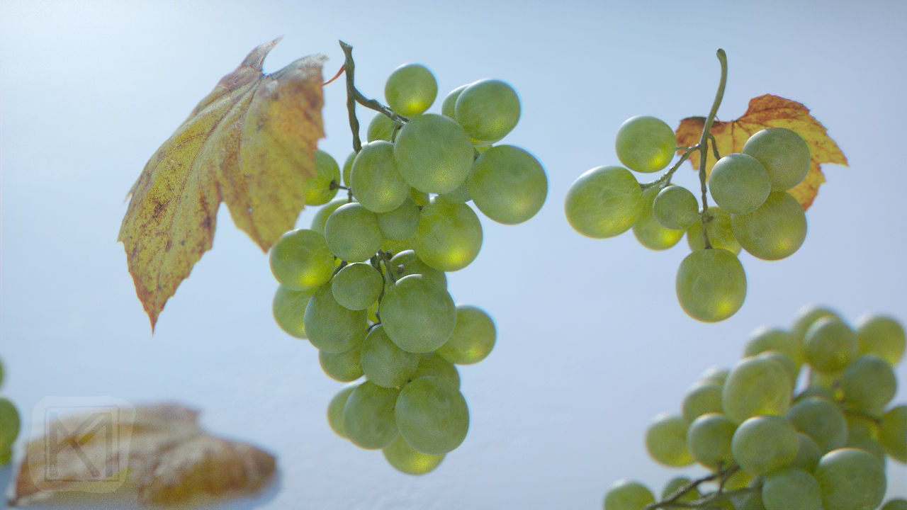 3D model Grapes Single Fruit Bunches and Model Kit VR / AR / low-poly ...