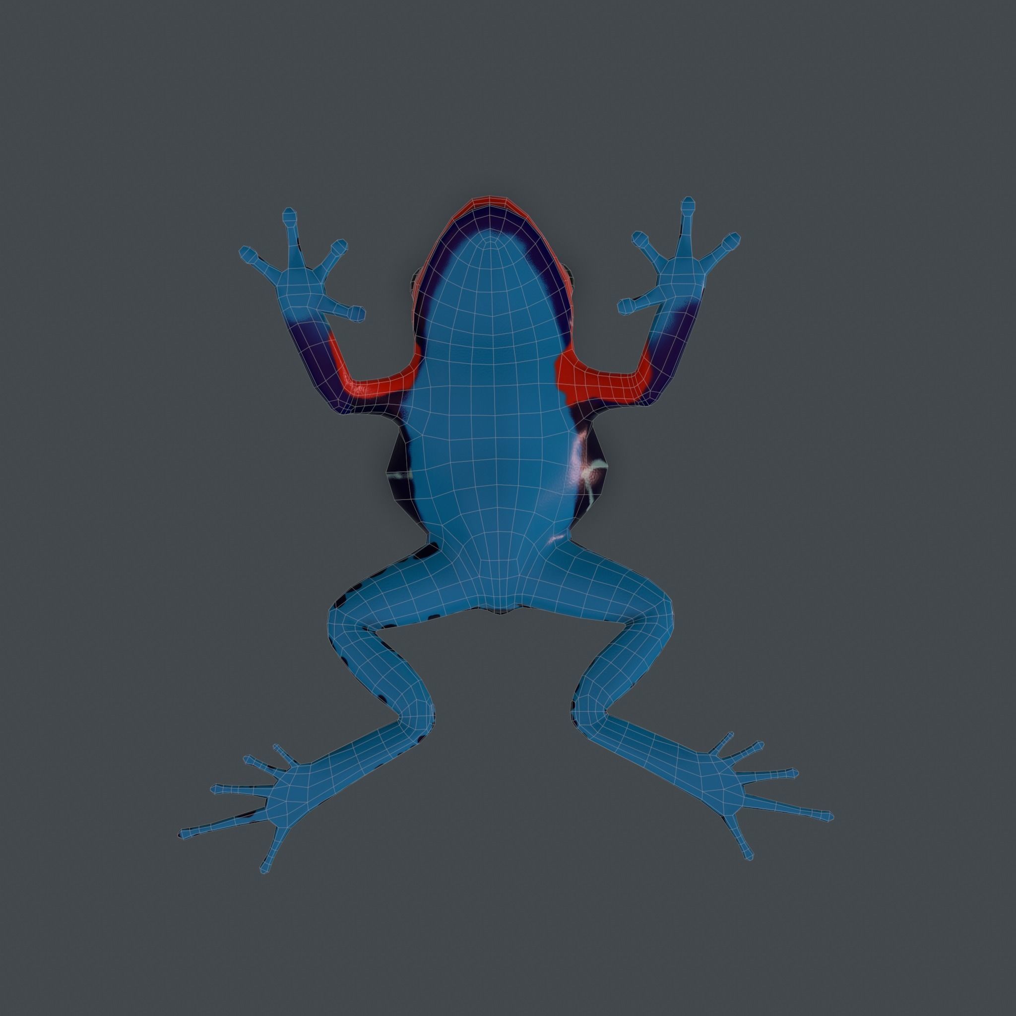 3D model Dart frog VR / AR / low-poly | CGTrader