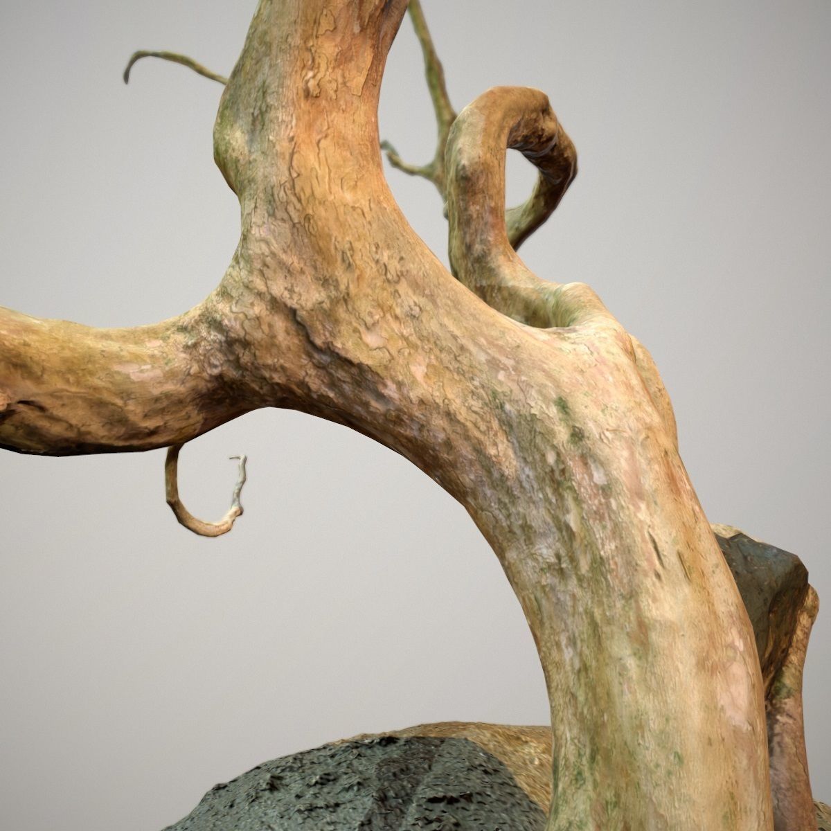 3D model Curly tree Scan Low poly VR / AR / low-poly | CGTrader