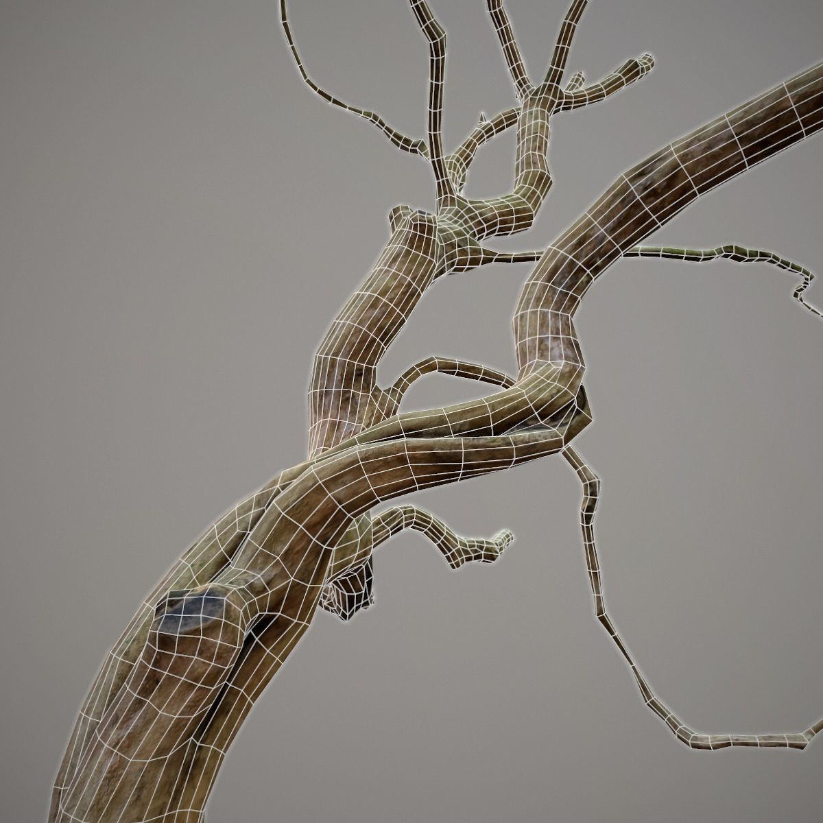 3D model Curly tree Scan Low poly VR / AR / low-poly | CGTrader