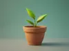 Free Flower Pot Cartoon Style Plant 3D Model free 3D model | CGTrader