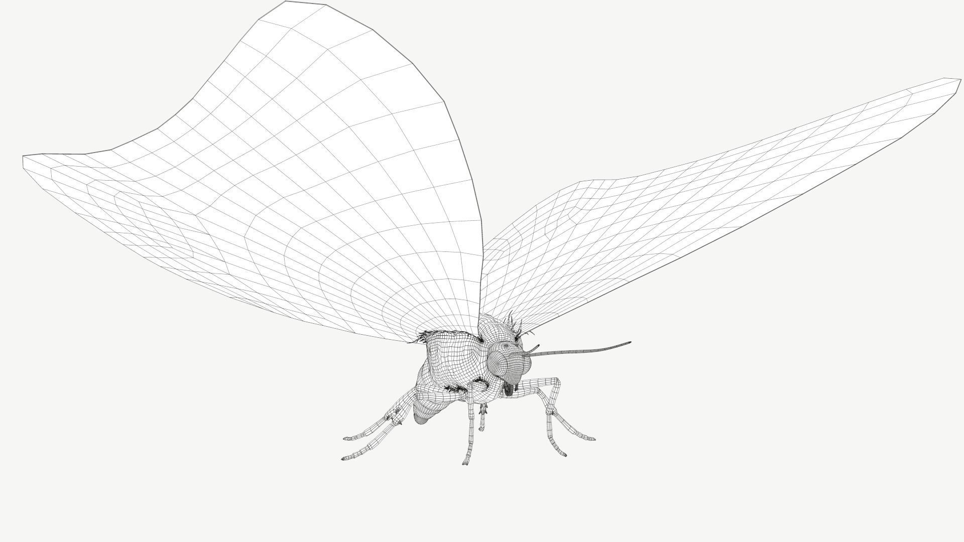 3D model Madagascan Sunset Moth VR / AR / low-poly | CGTrader