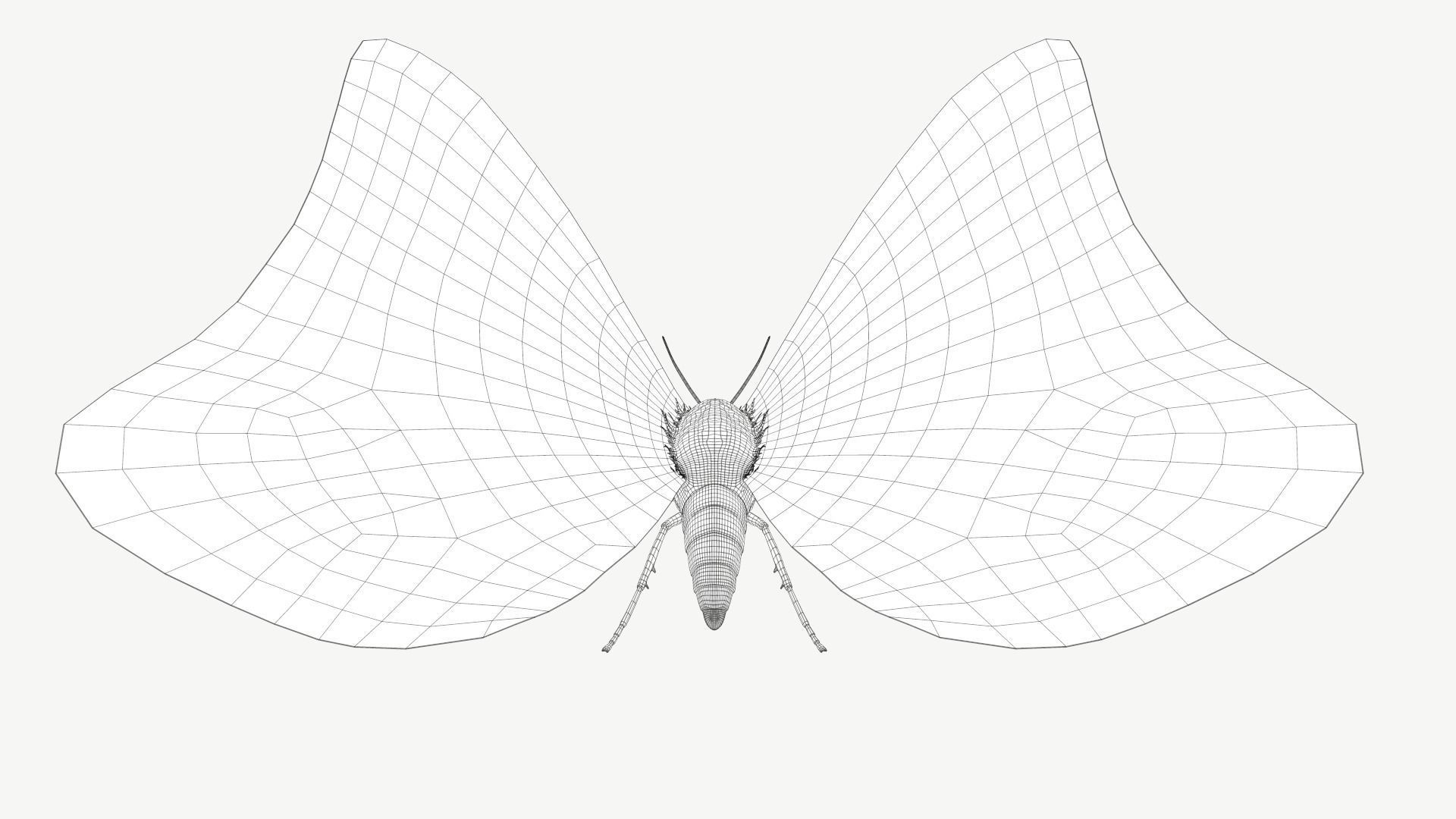 3D model Madagascan Sunset Moth VR / AR / low-poly | CGTrader