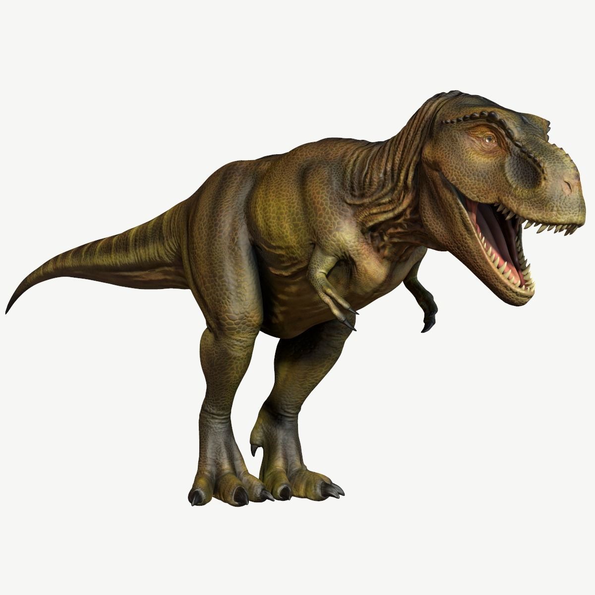 3D model Tyrannosaurus Rex VR / AR / low-poly | CGTrader