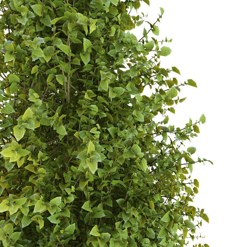 Conical bush 3D model | CGTrader
