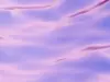 Stylized Ocean Animation free 3D model animated | CGTrader