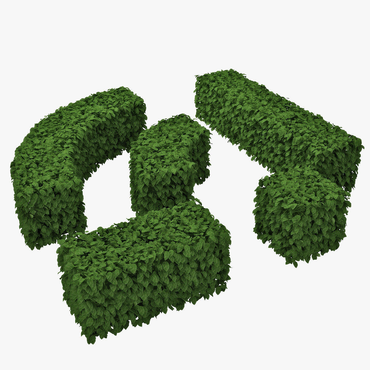 Hedge h50cm 3D model | CGTrader