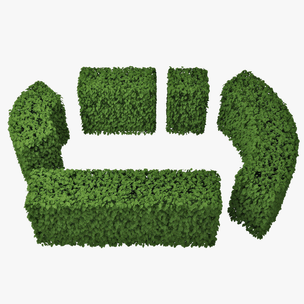 Hedge h100cm 3D model rigged | CGTrader