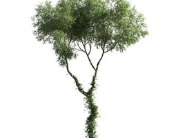 Greenery 3D Models | CGTrader