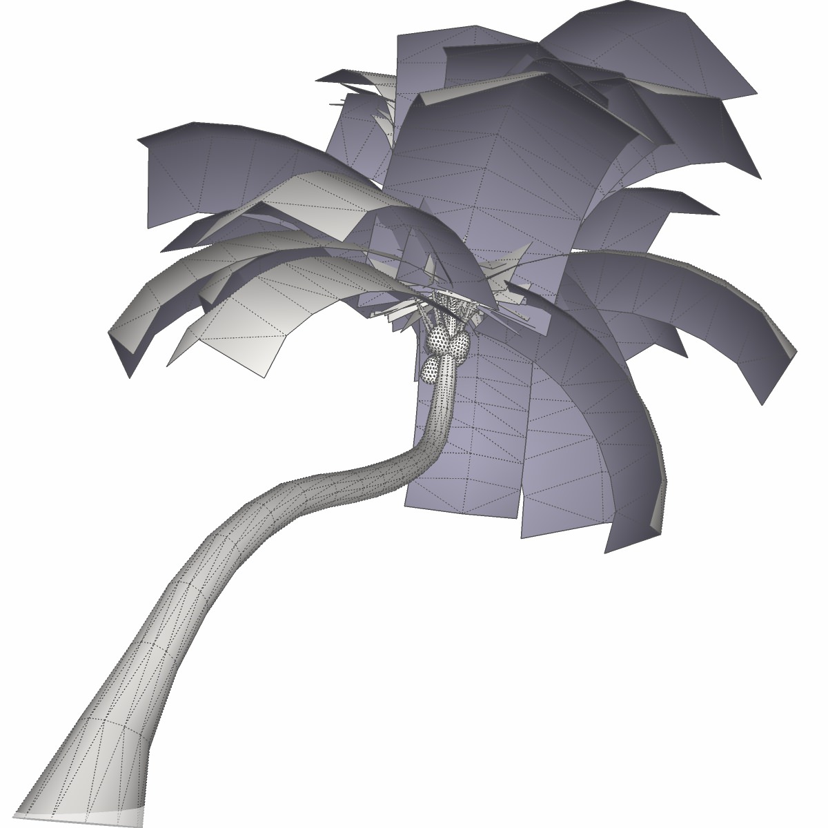 3D model Coconut Tree - 02 med poly VR / AR / low-poly | CGTrader