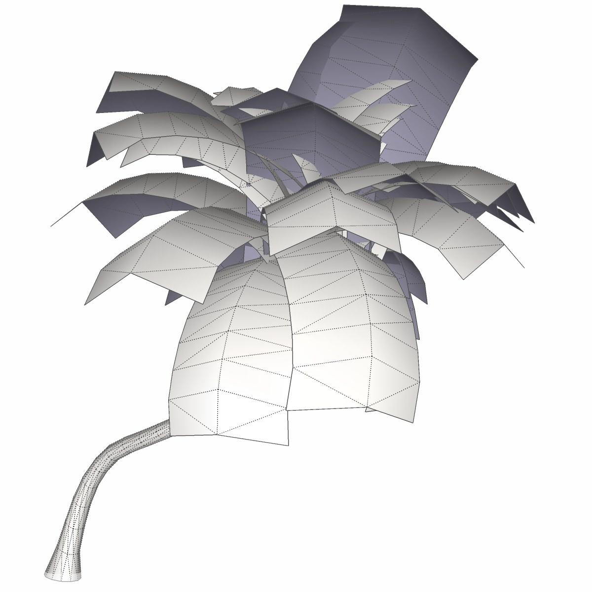 3D model Coconut Tree - 02 med poly VR / AR / low-poly | CGTrader