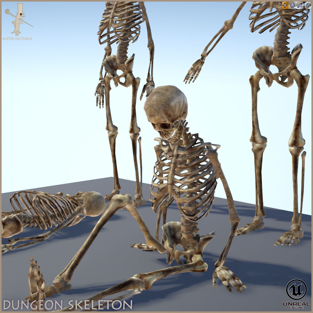 3D model Dungeon Skeleton VR / AR / low-poly | CGTrader