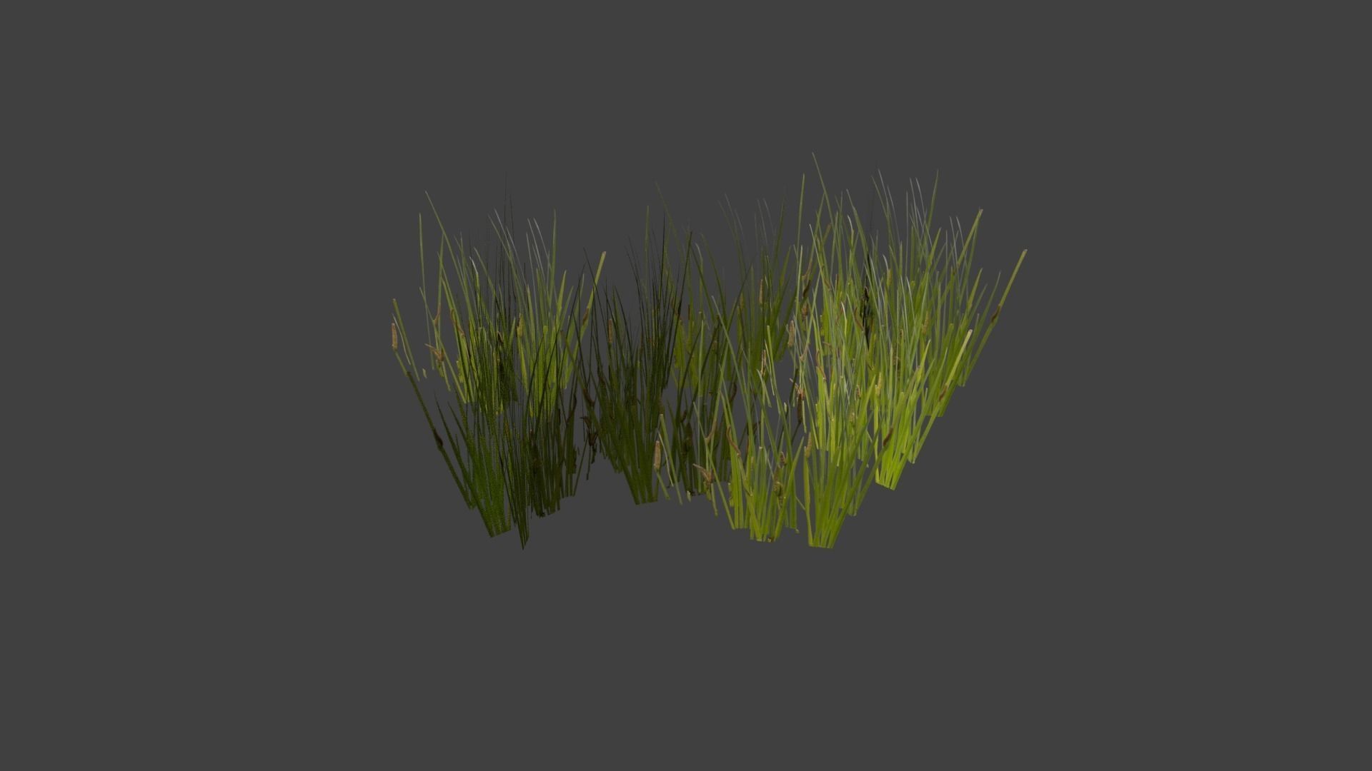 Green Grass Patch free VR / AR / low-poly 3D model | CGTrader