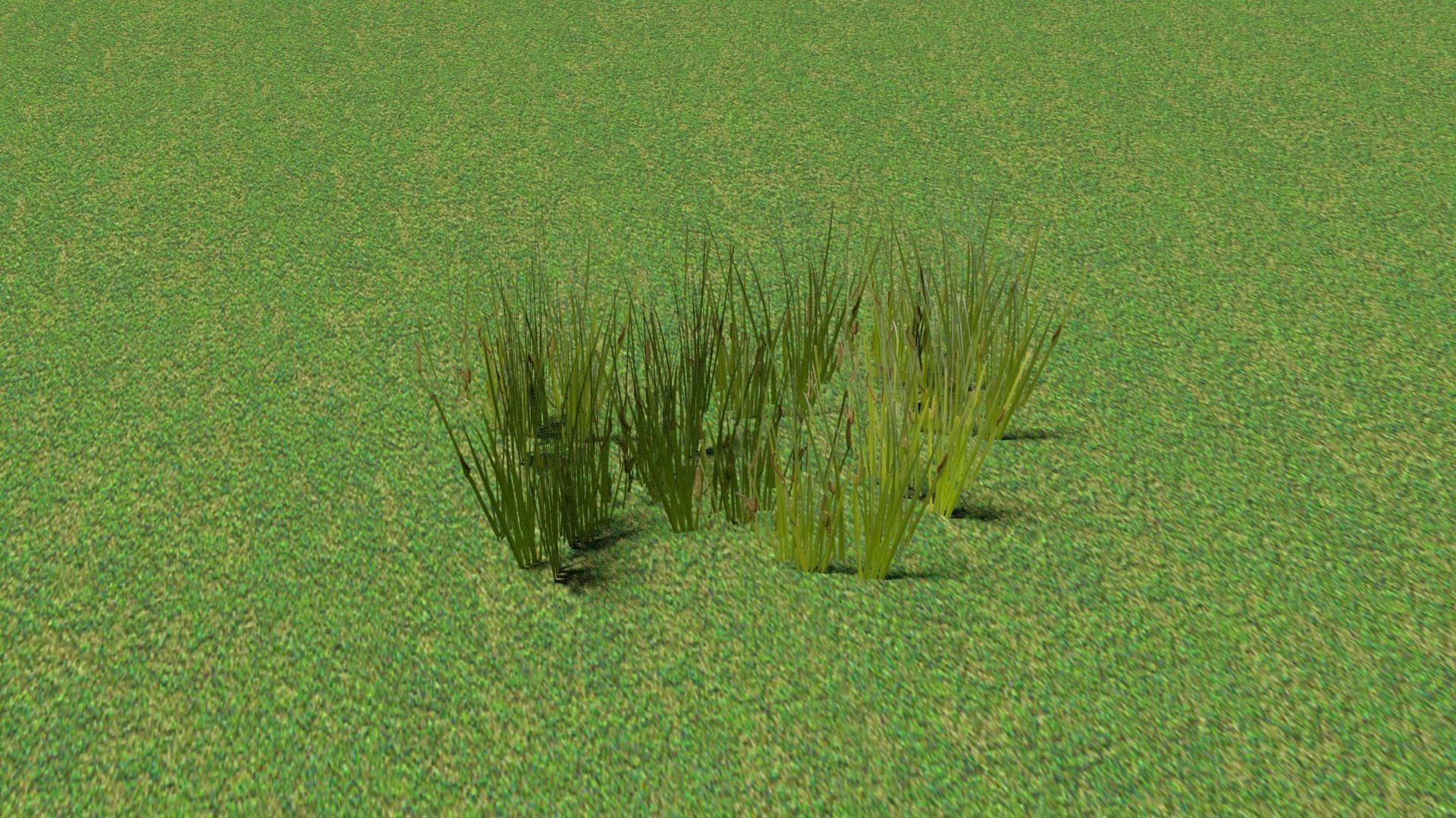 Green Grass Patch free VR / AR / low-poly 3D model | CGTrader