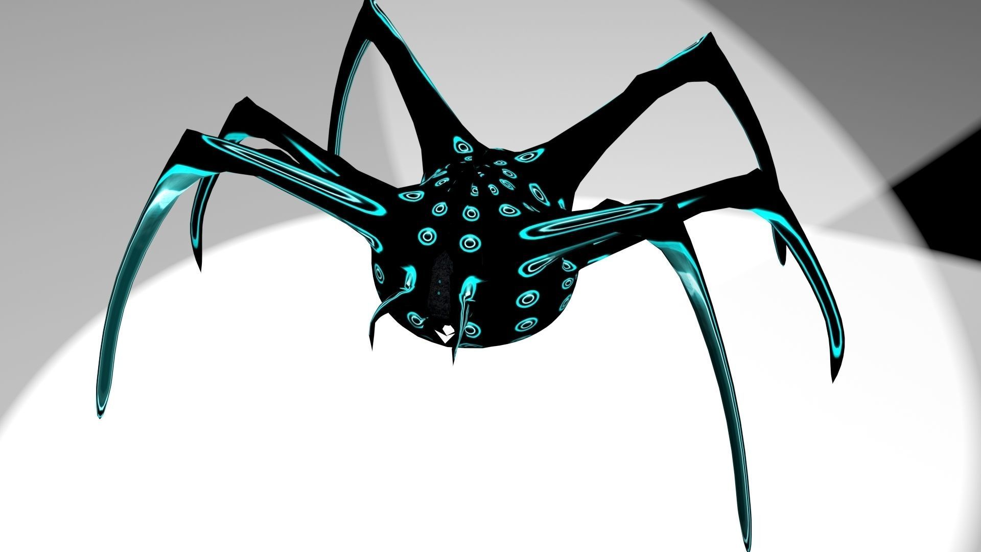 Spider killer 3D model | CGTrader
