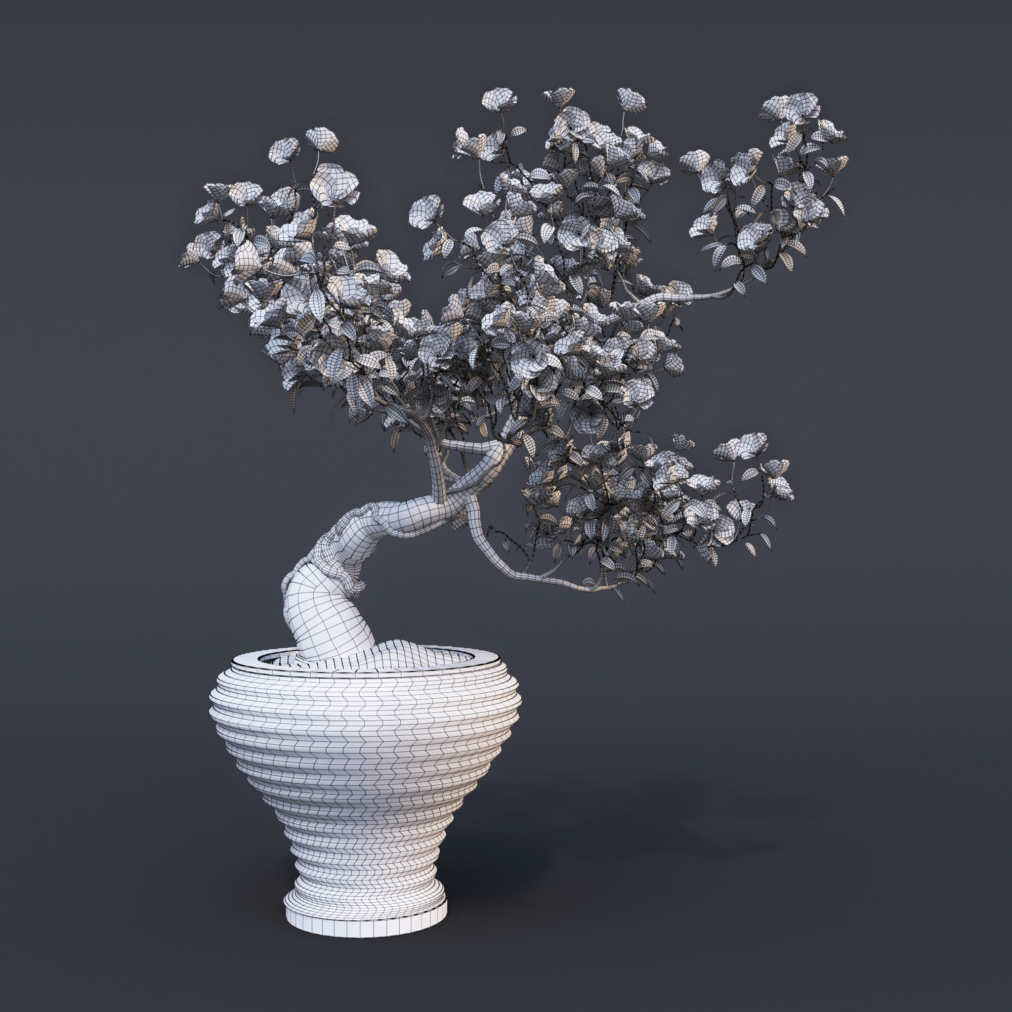 Sakura 3D model | CGTrader