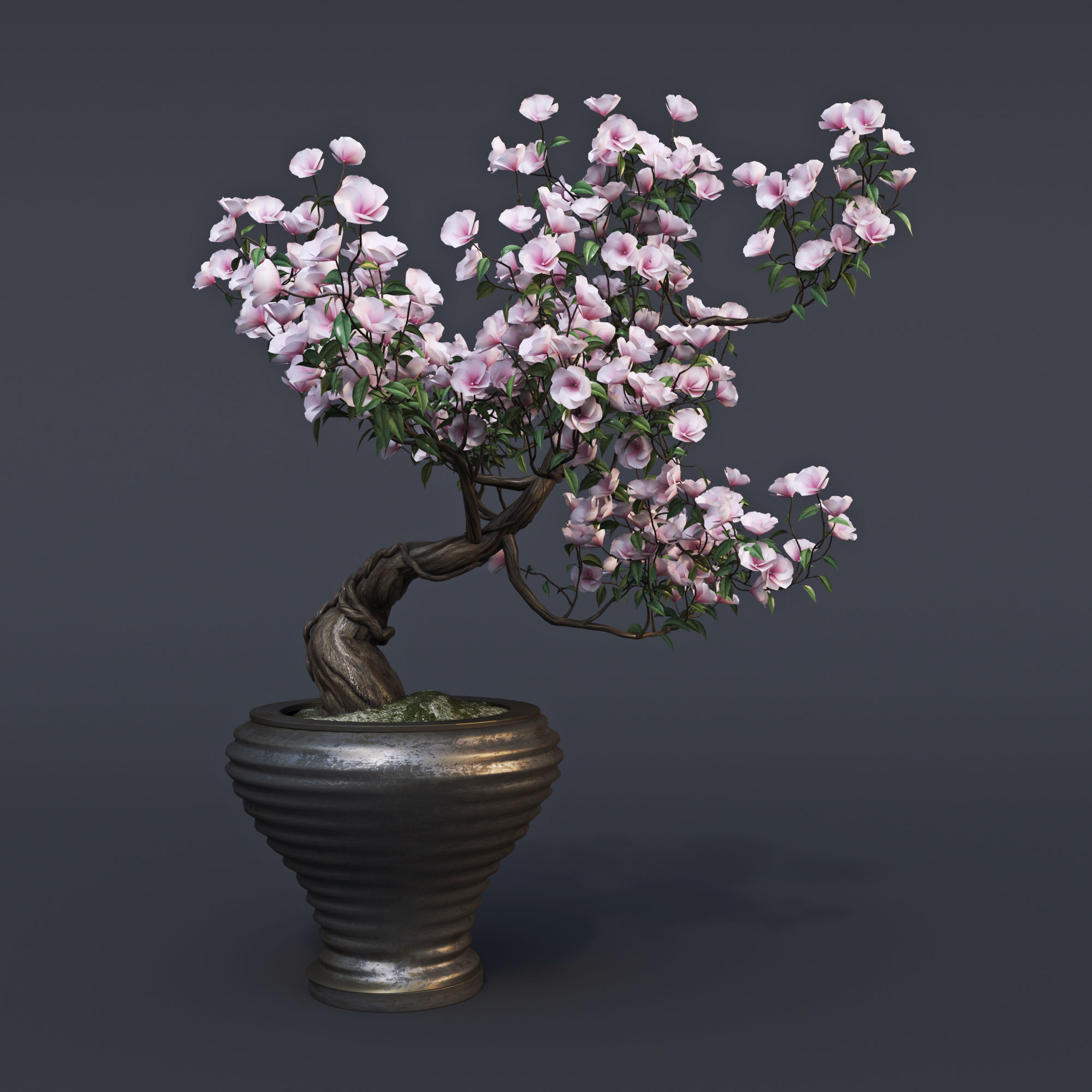 Sakura 3D model | CGTrader