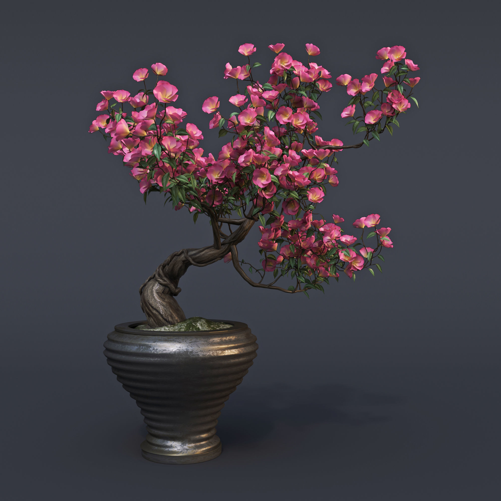Sakura 3D model | CGTrader