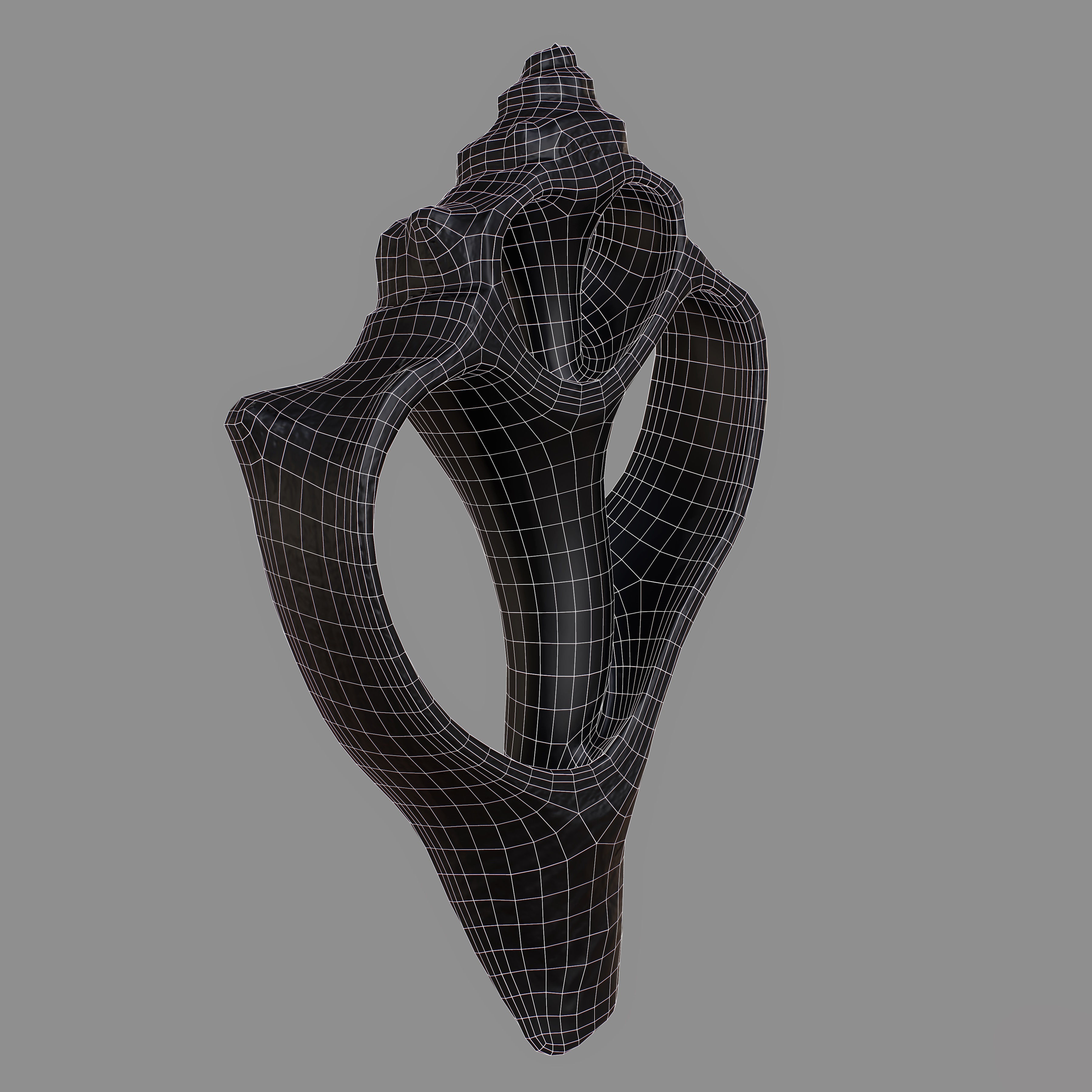 3D model 6 Sea Shell Collection Photorealistic VR / AR / low-poly ...