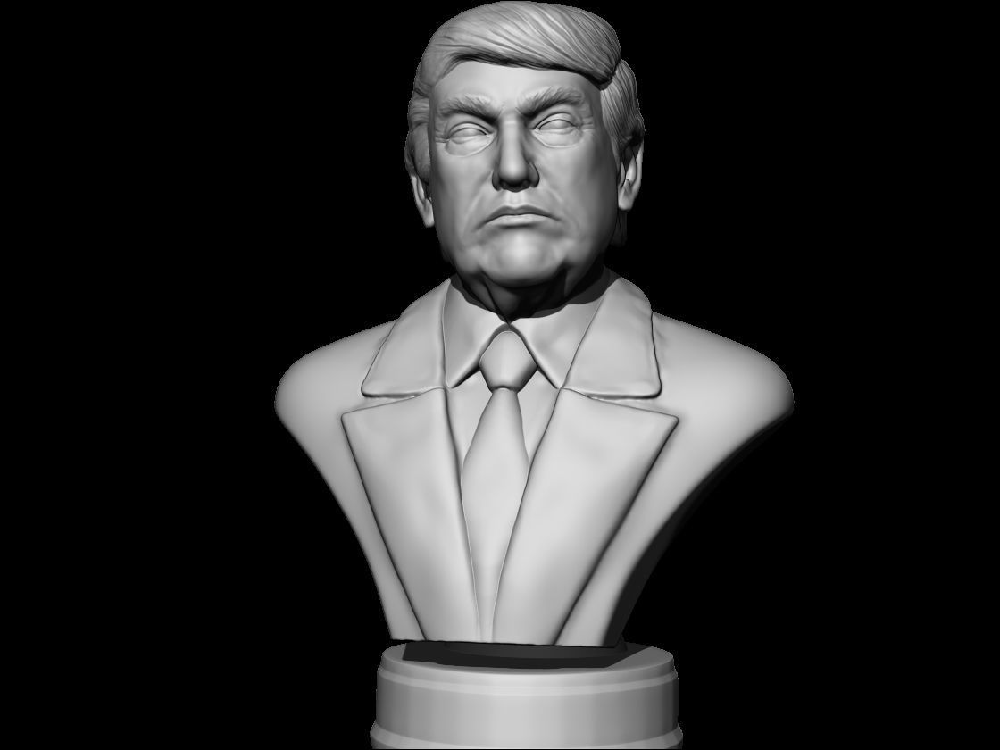 Donald Trump presidental edition stl 3D model 3D printable | CGTrader