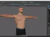 3D model Realistic Anatomic Male Character with Genitals VR / AR / low ...