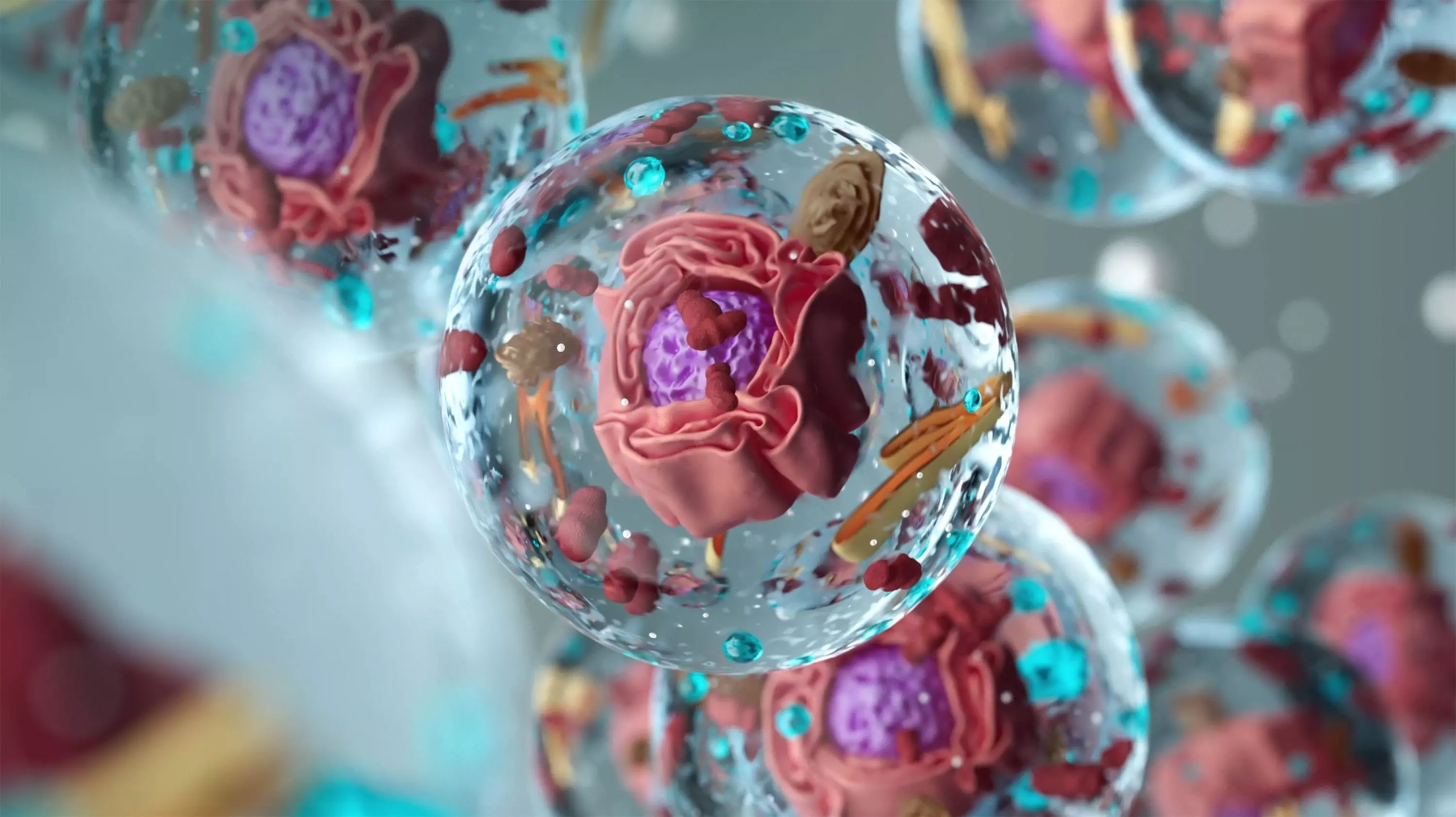 Biological Cell 3D Model Detailed Microscopic Structure 3D model | CGTrader