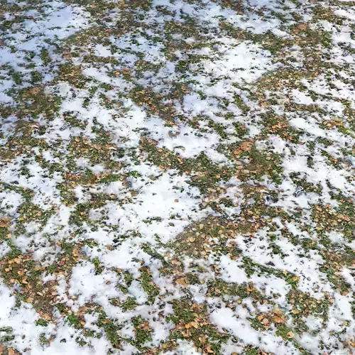 Autumn soil covered in snow 3D model | CGTrader