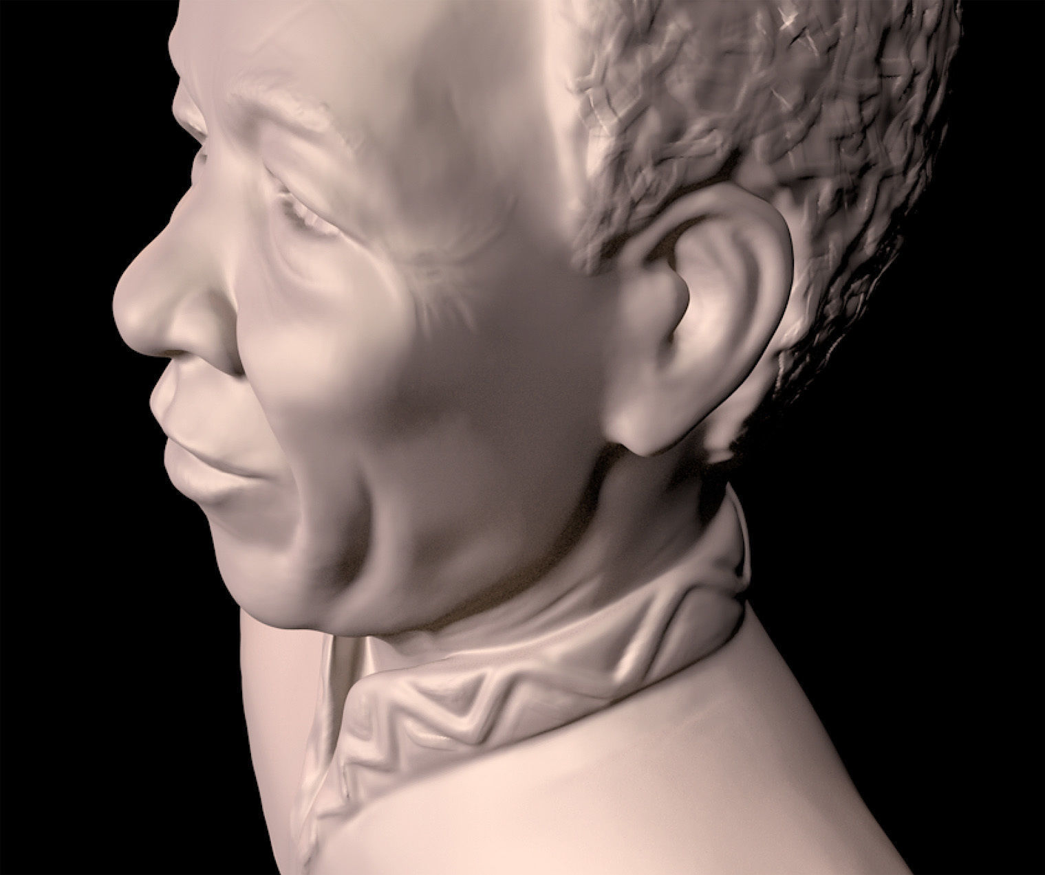 Nelson Mandela 3D print 3D model 3D printable | CGTrader