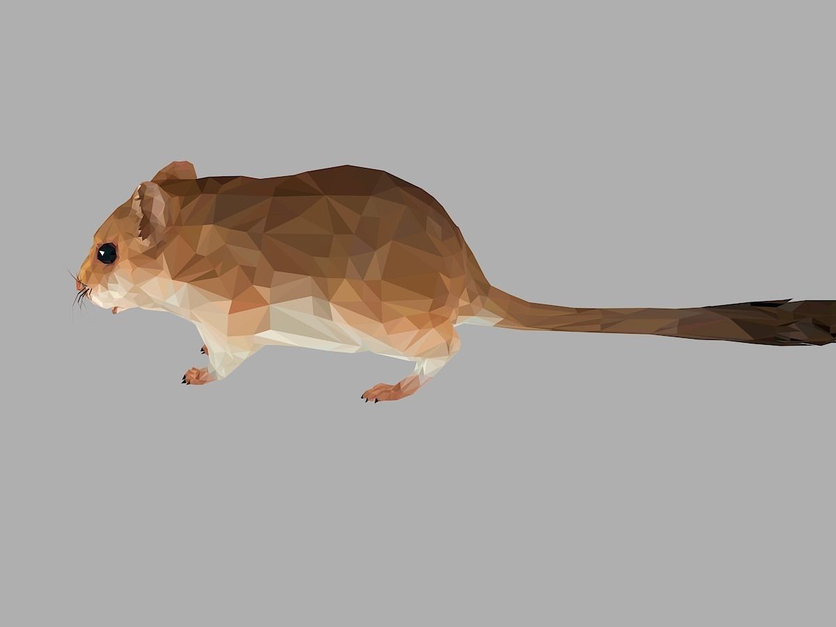 3D model Sand Mouse Low Polygon Art Animal maus VR / AR / low-poly ...