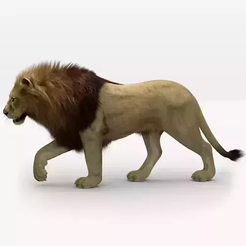 3D model LION GAME READY ANIMATED MODEL VR / AR / low-poly rigged ...