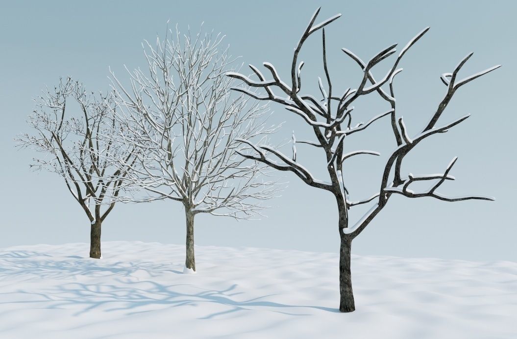 snow trees collection 3D model | CGTrader