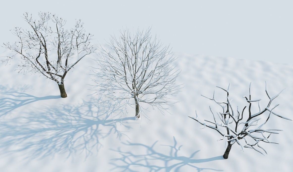 snow trees collection 3D model | CGTrader