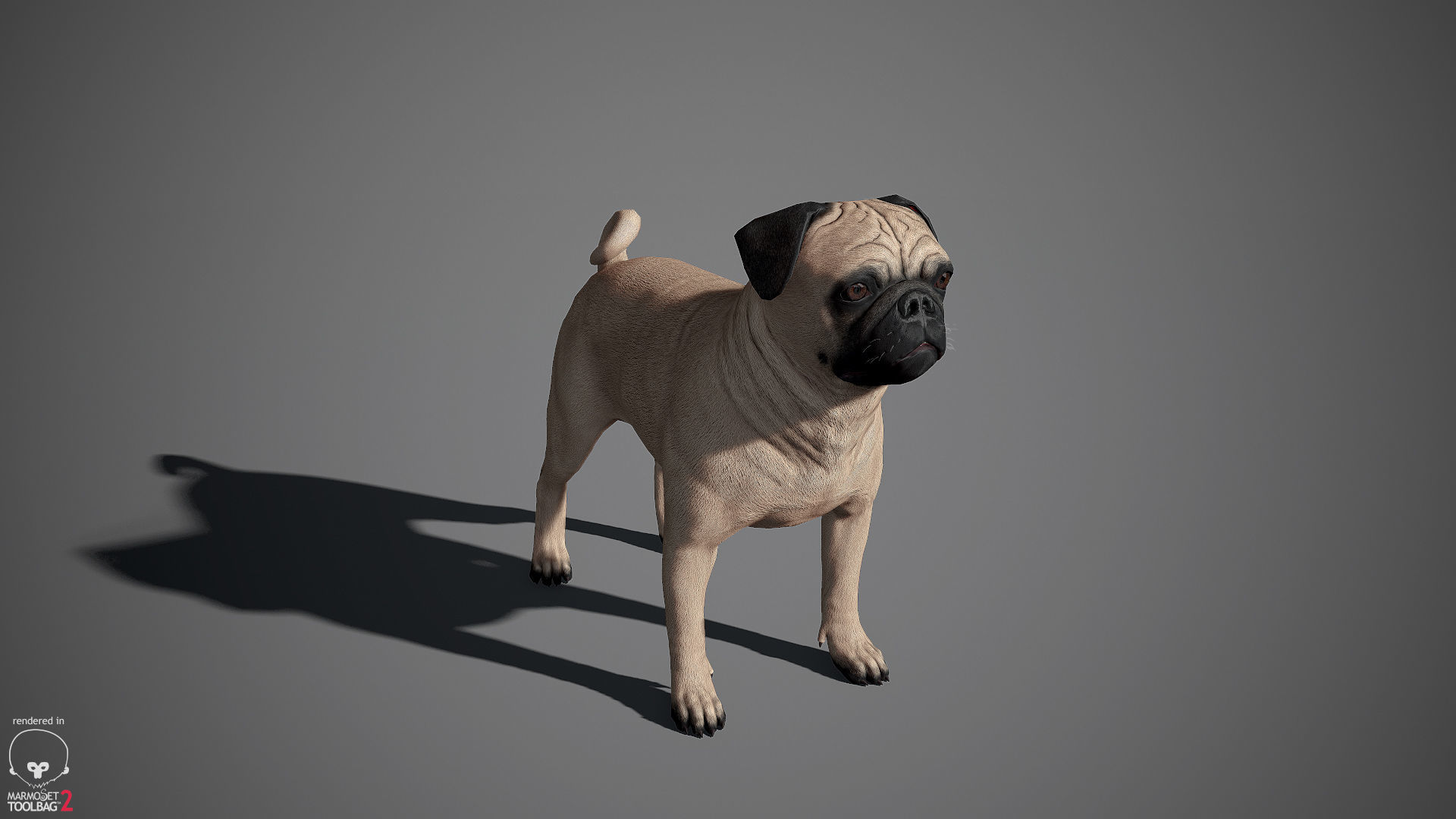 3D model Pug Real-Time VR / AR / low-poly | CGTrader