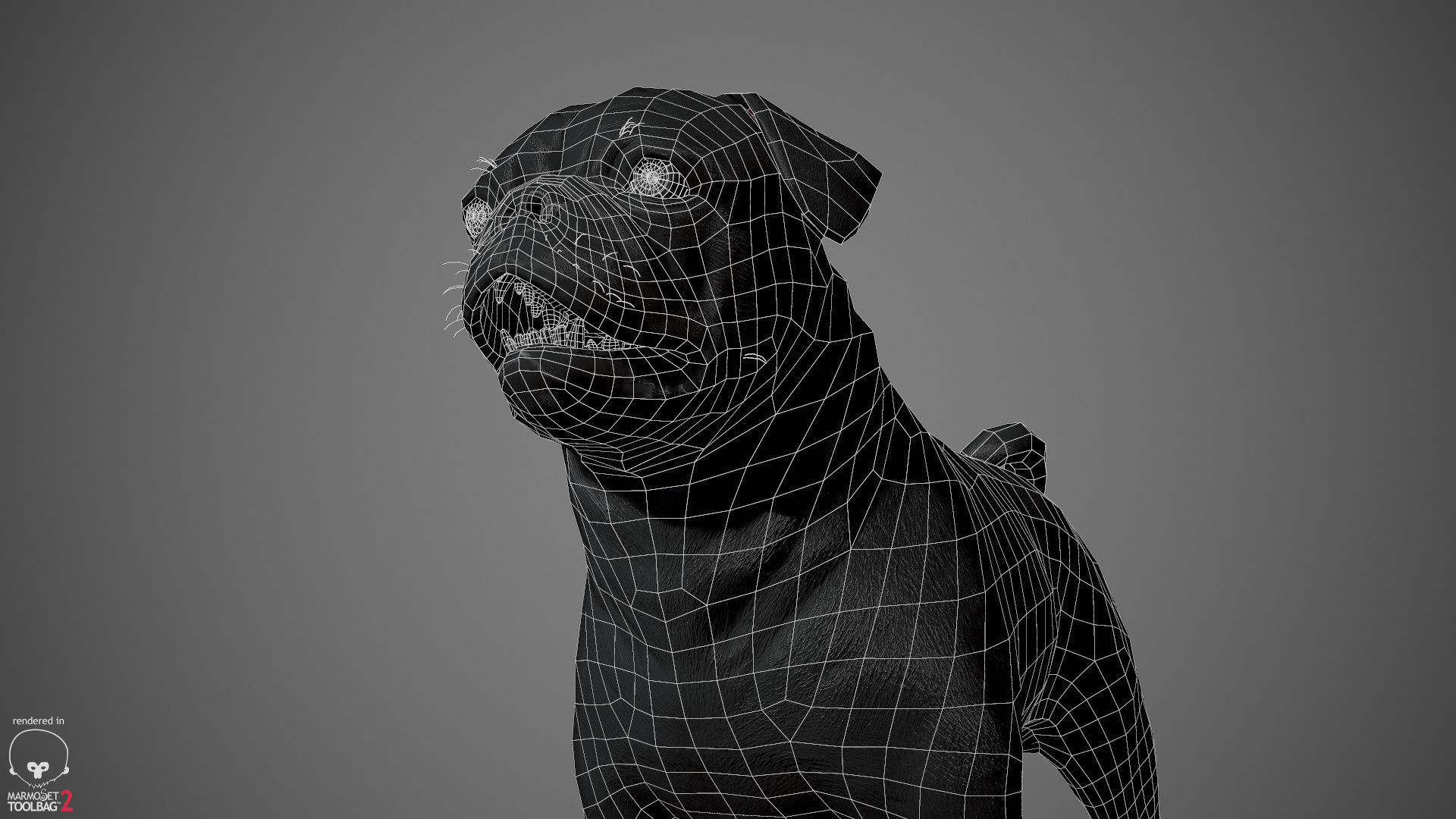 3D model Pug Real-Time VR / AR / low-poly | CGTrader