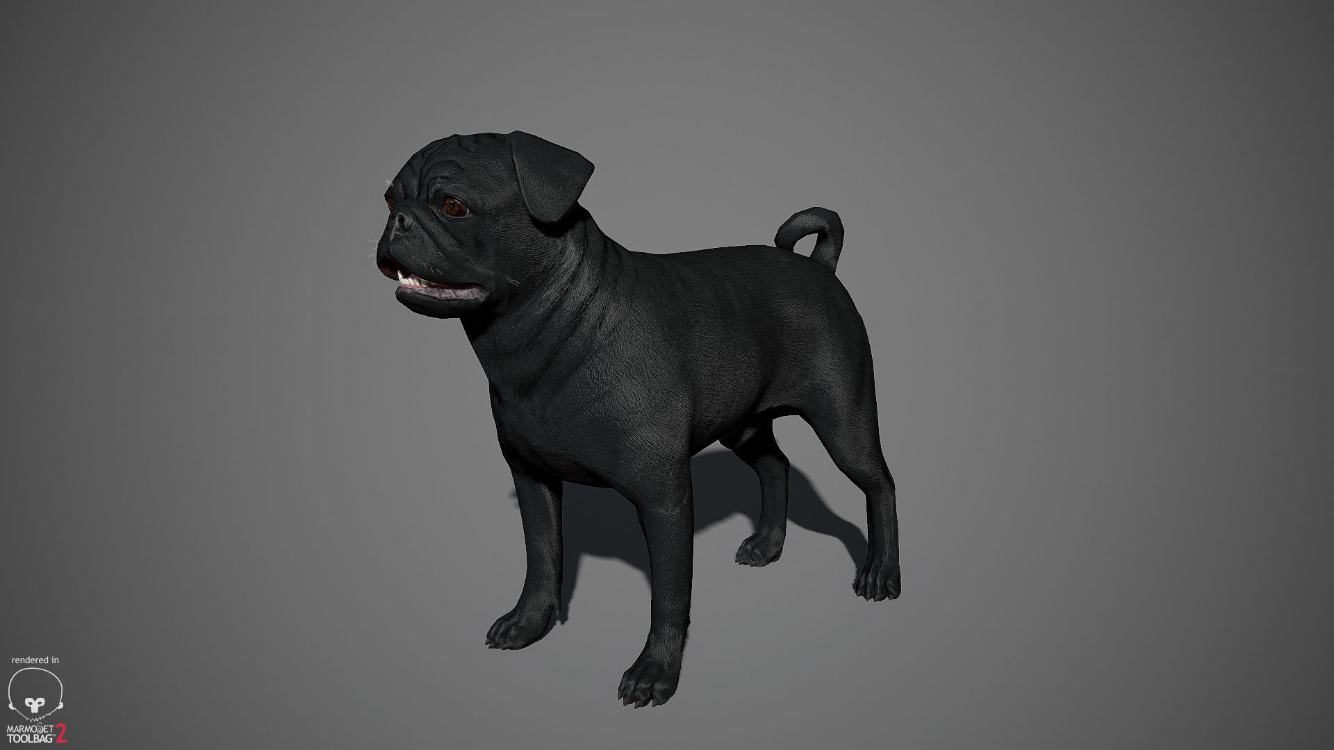 3D model Pug Real-Time VR / AR / low-poly | CGTrader