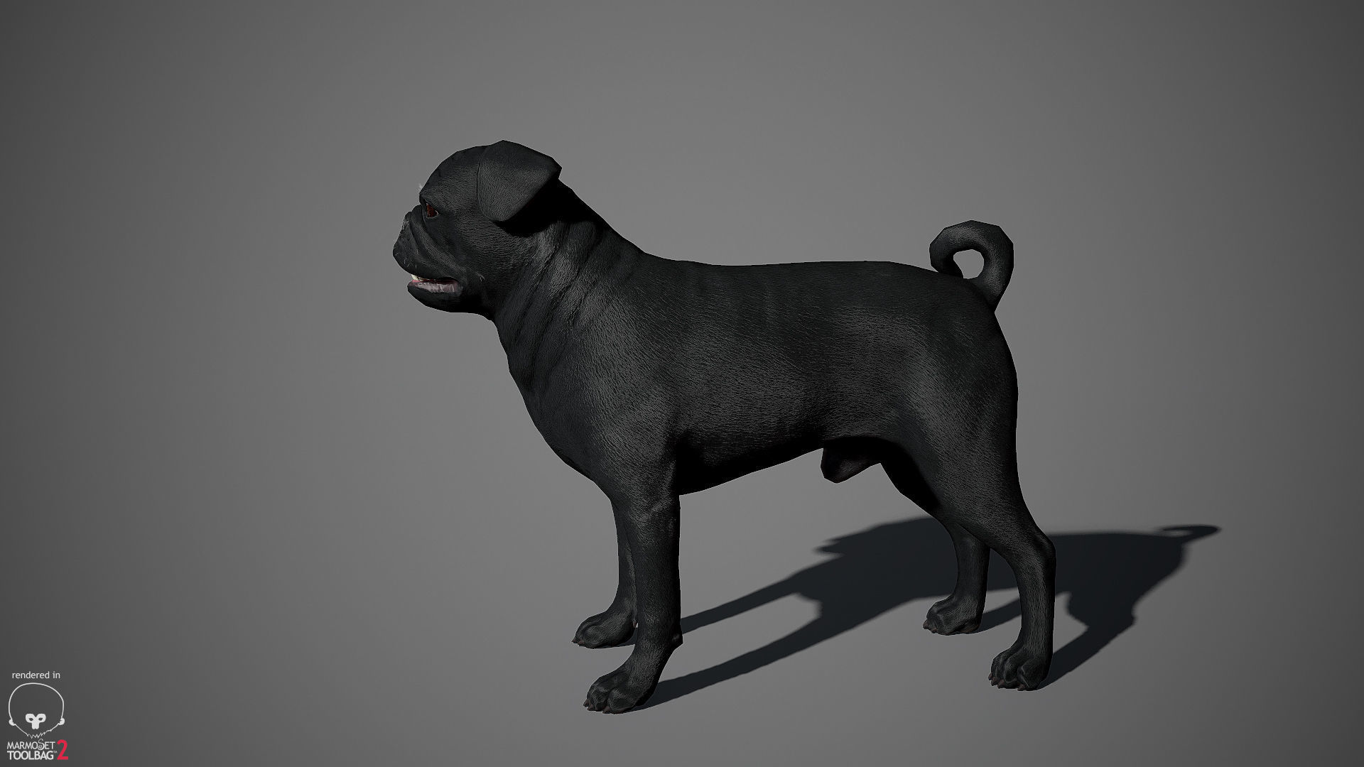 3D model Pug Real-Time VR / AR / low-poly | CGTrader