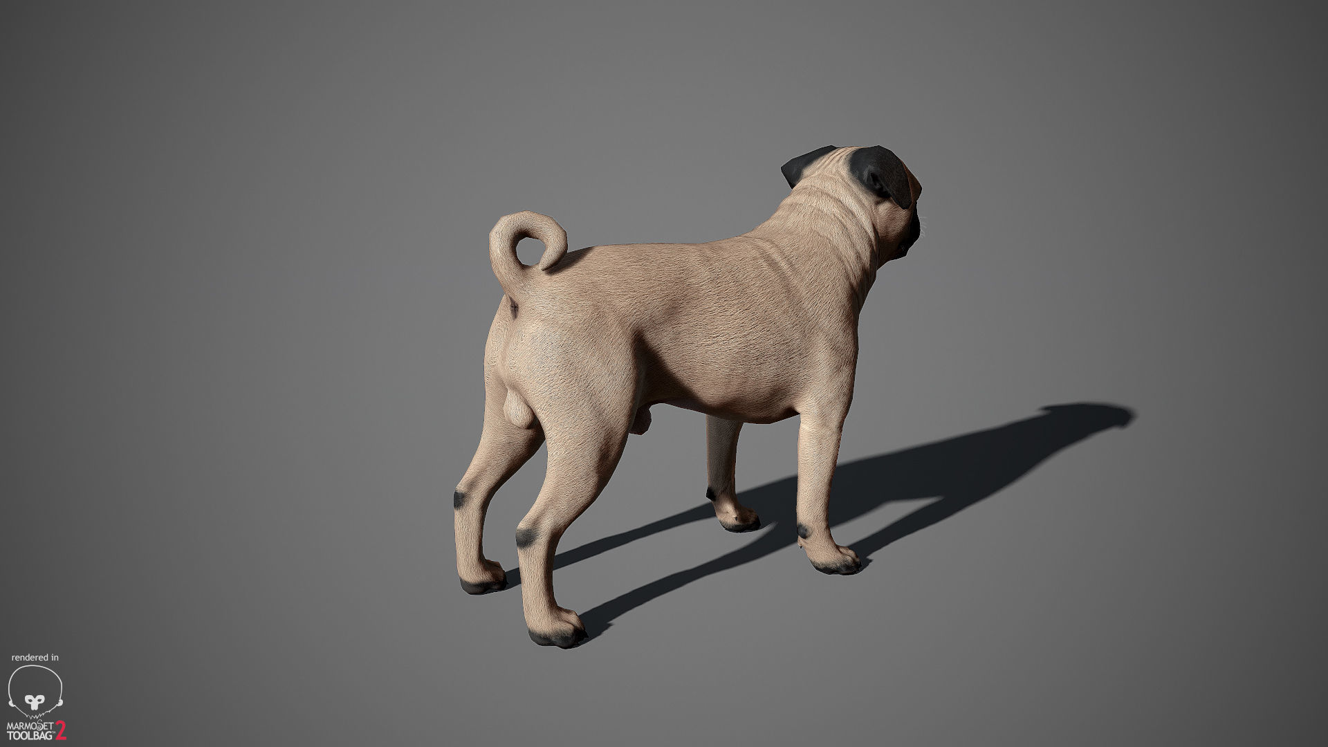 3D model Pug Real-Time VR / AR / low-poly | CGTrader