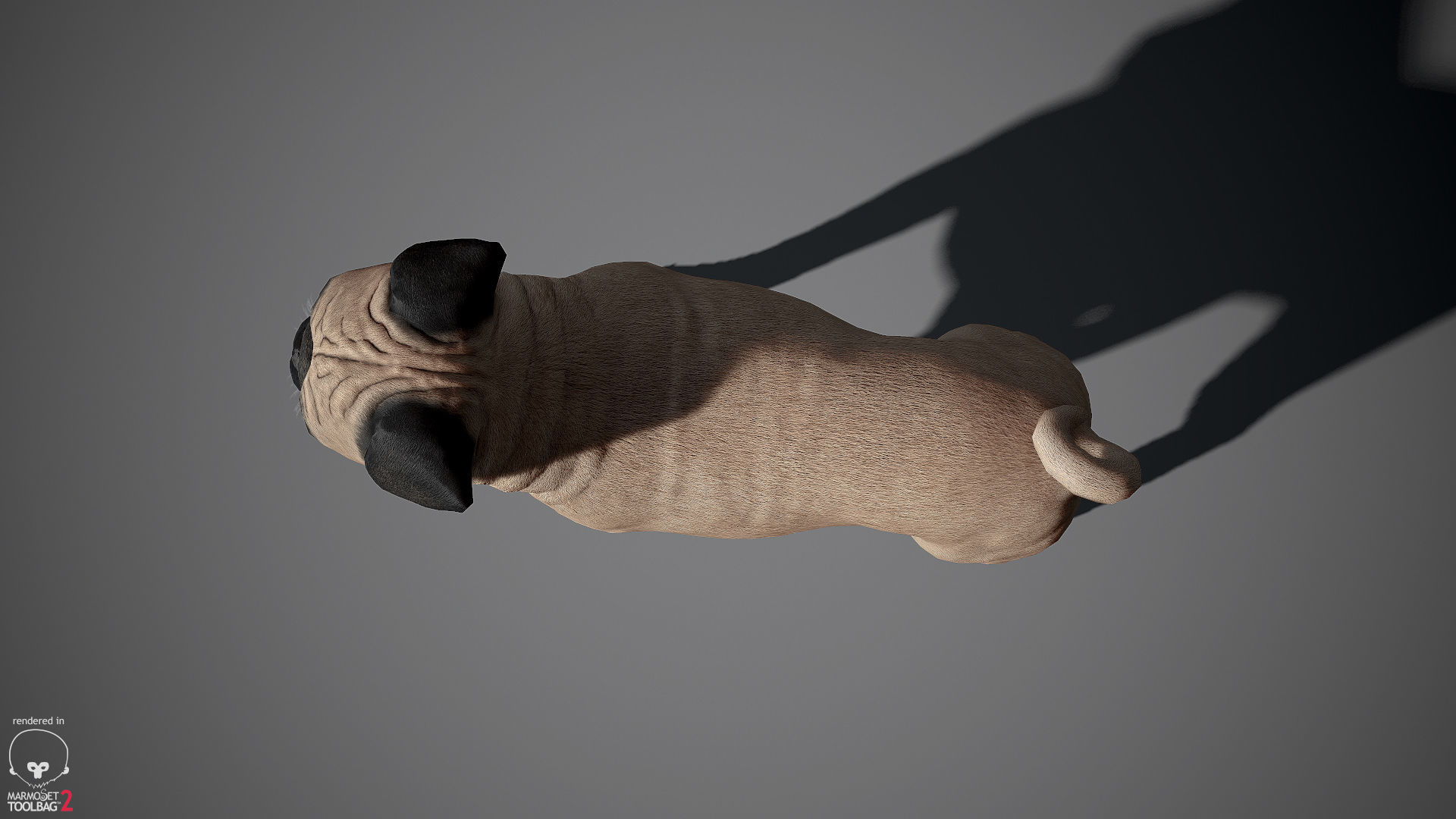 3D model Pug Real-Time VR / AR / low-poly | CGTrader