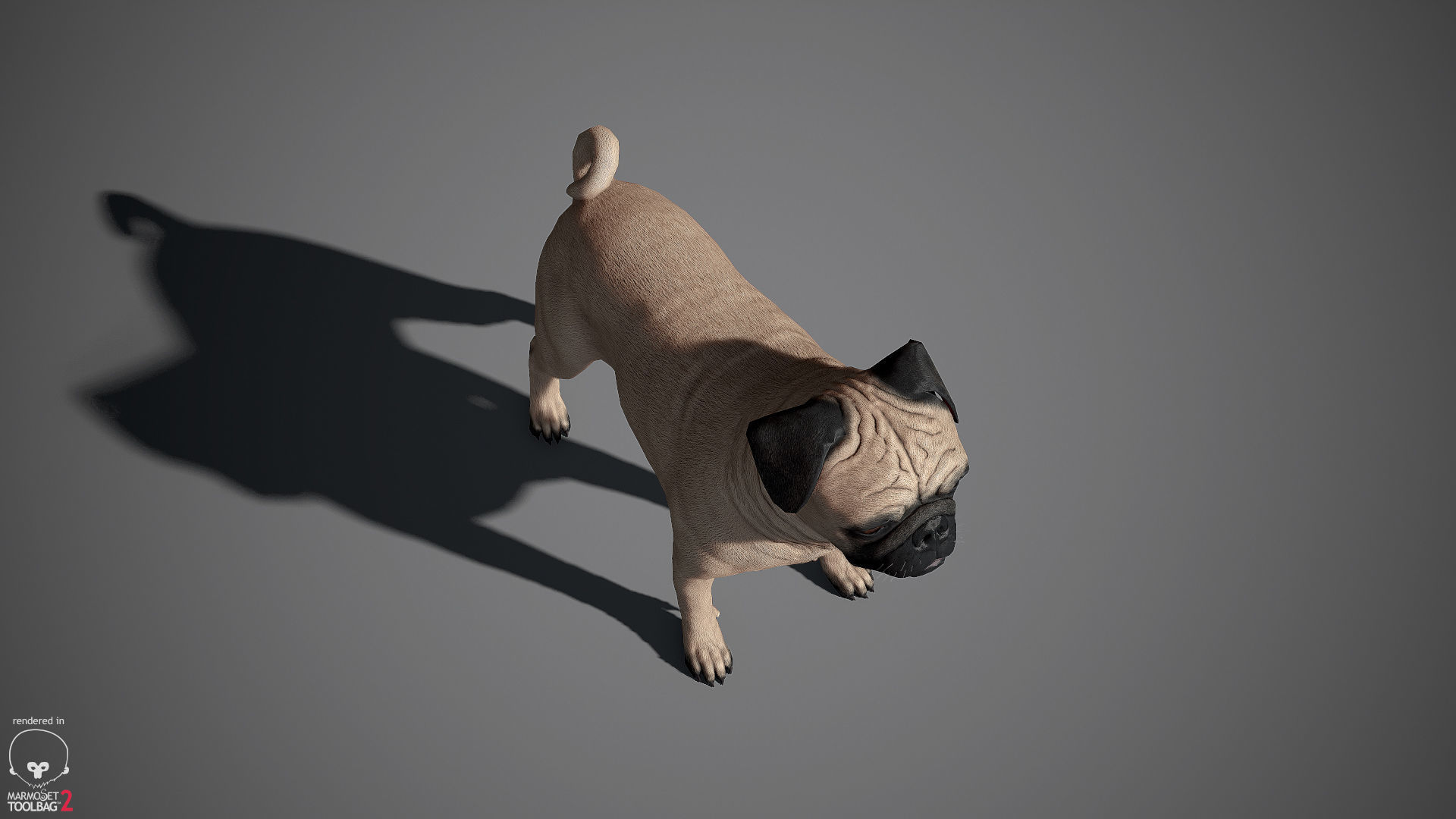 3D model Pug Real-Time VR / AR / low-poly | CGTrader