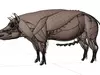 3D model 3D Pig Anatomy Model Muscular Nervous Vascular System ...