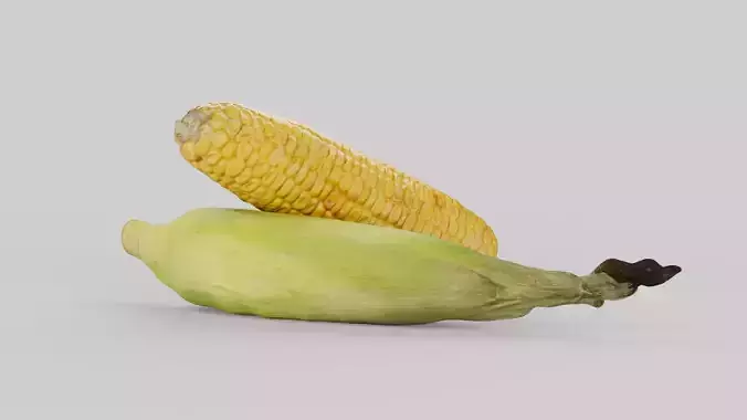Corn Bundle 3D Model Pack | CGTrader